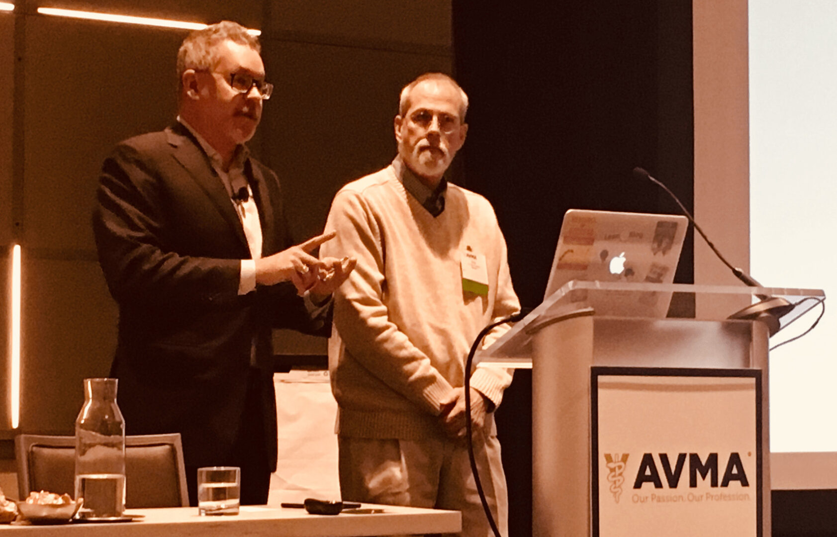 Kaizen in Veterinary Medicine: Continuous Improvement Without Fear