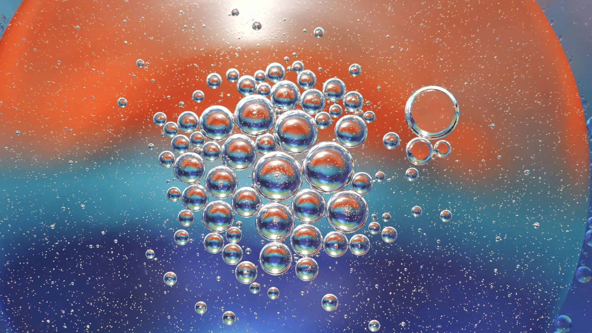 David Novak Became a CEO Even With This Crystal Clear Mistake – Lean Blog